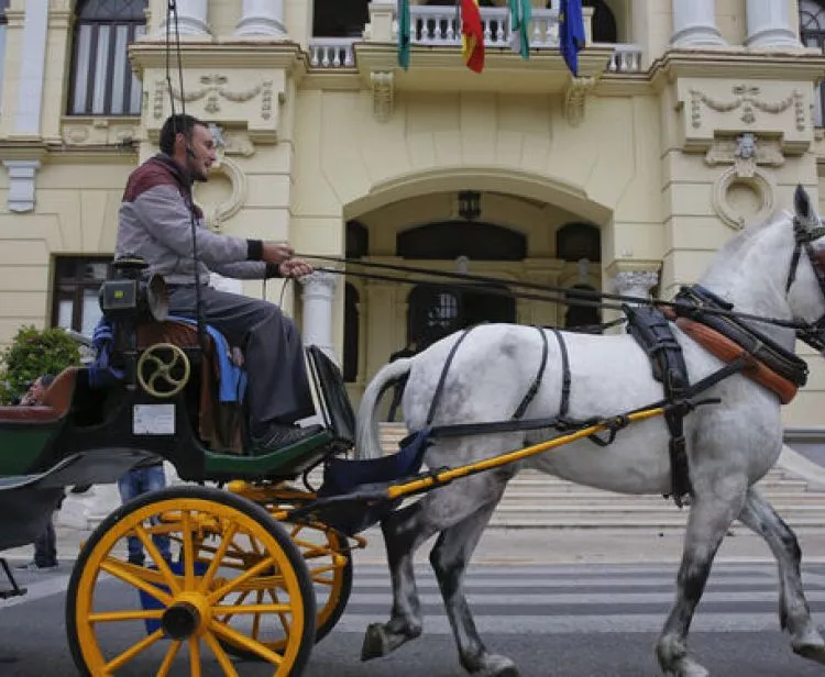 Paseo en Coche de Caballo de 45 minutos