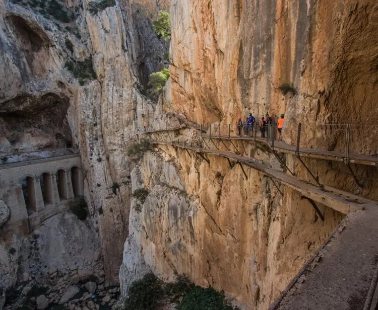 Découvrez le chemin du roi
