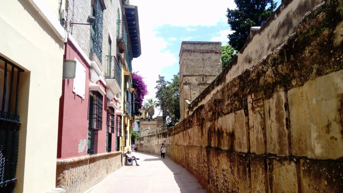 6 Reasons to visit the Santa Cruz