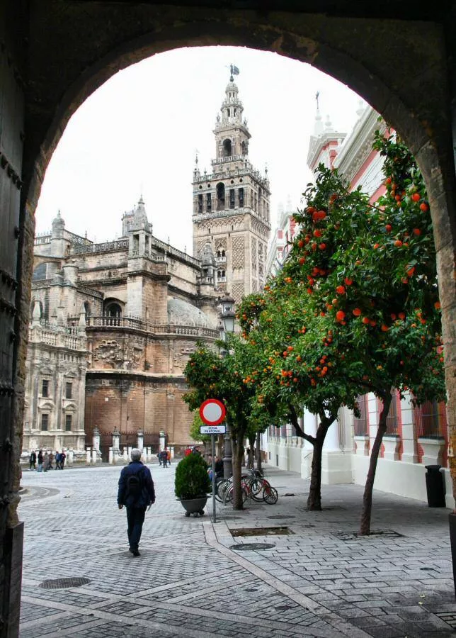 6 Reasons to visit the Santa Cruz